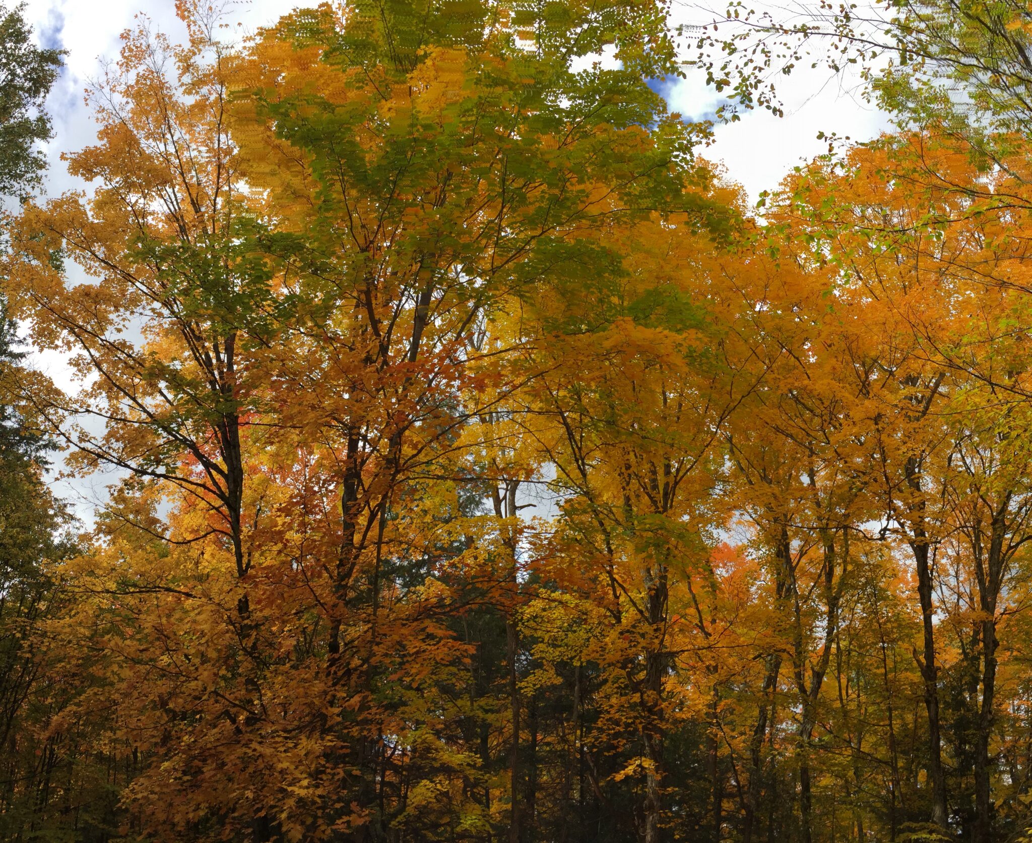 Warsaw Caves Conservation Area and Campground - The Kawarthas Tourism