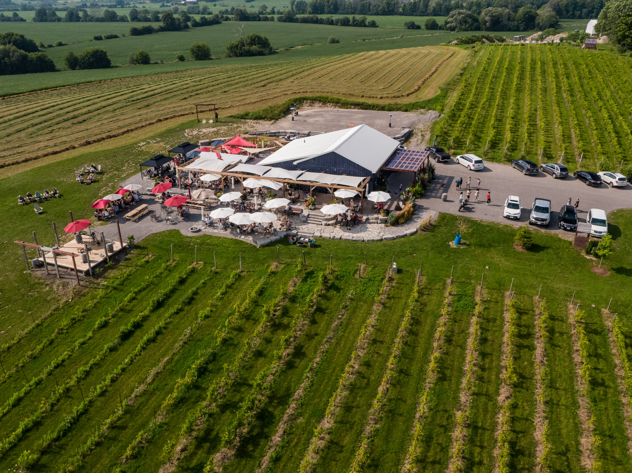 Rolling Grape Vineyard - The Kawarthas Tourism