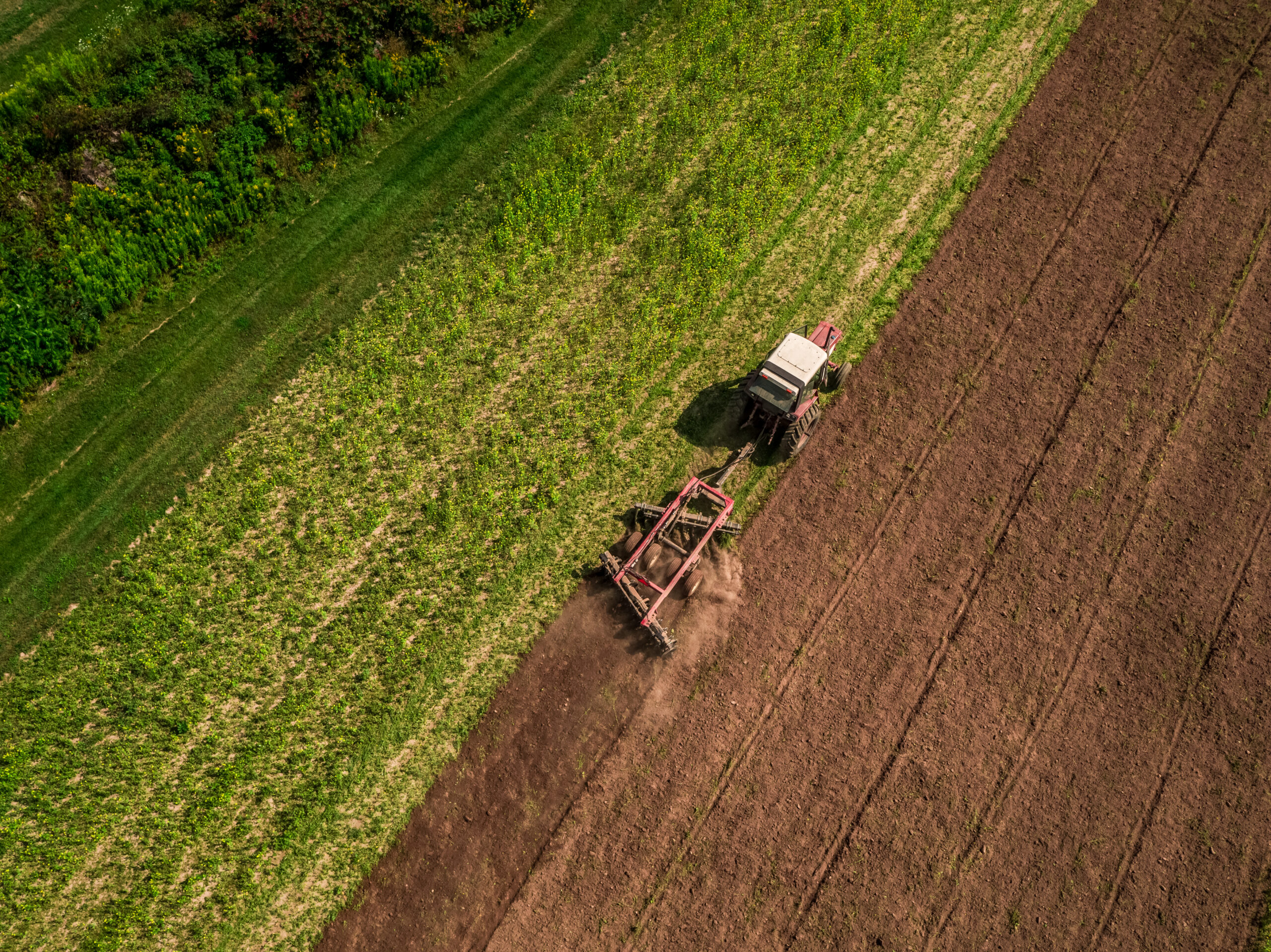 McLean Berry Farm - The Kawarthas Tourism