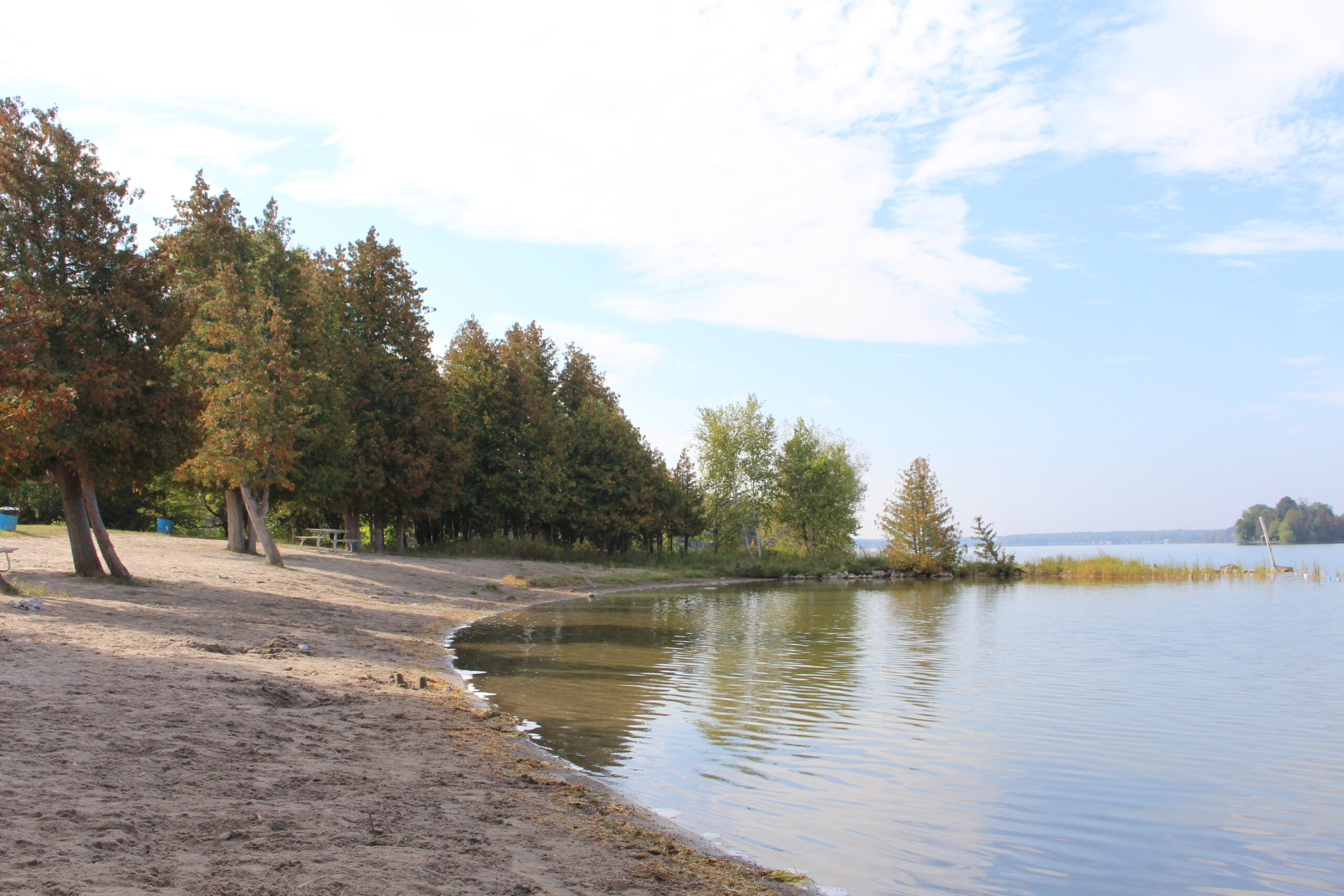 Selwyn Beach Conservation Area - The Kawarthas Tourism