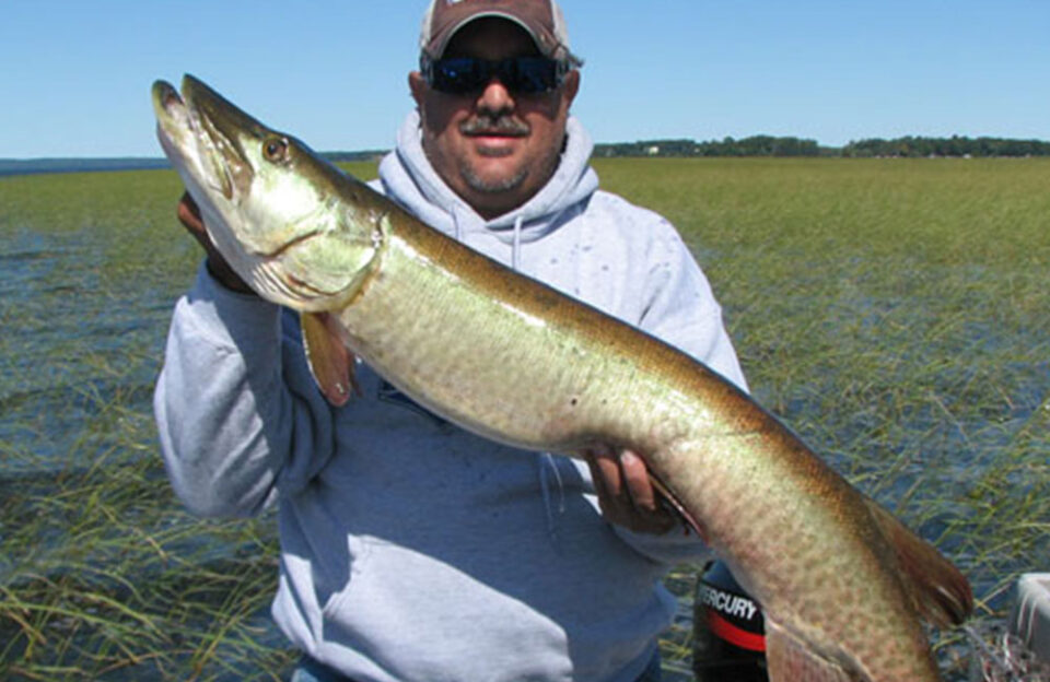 Scotsman Point Cottage Resort - The Kawarthas Tourism