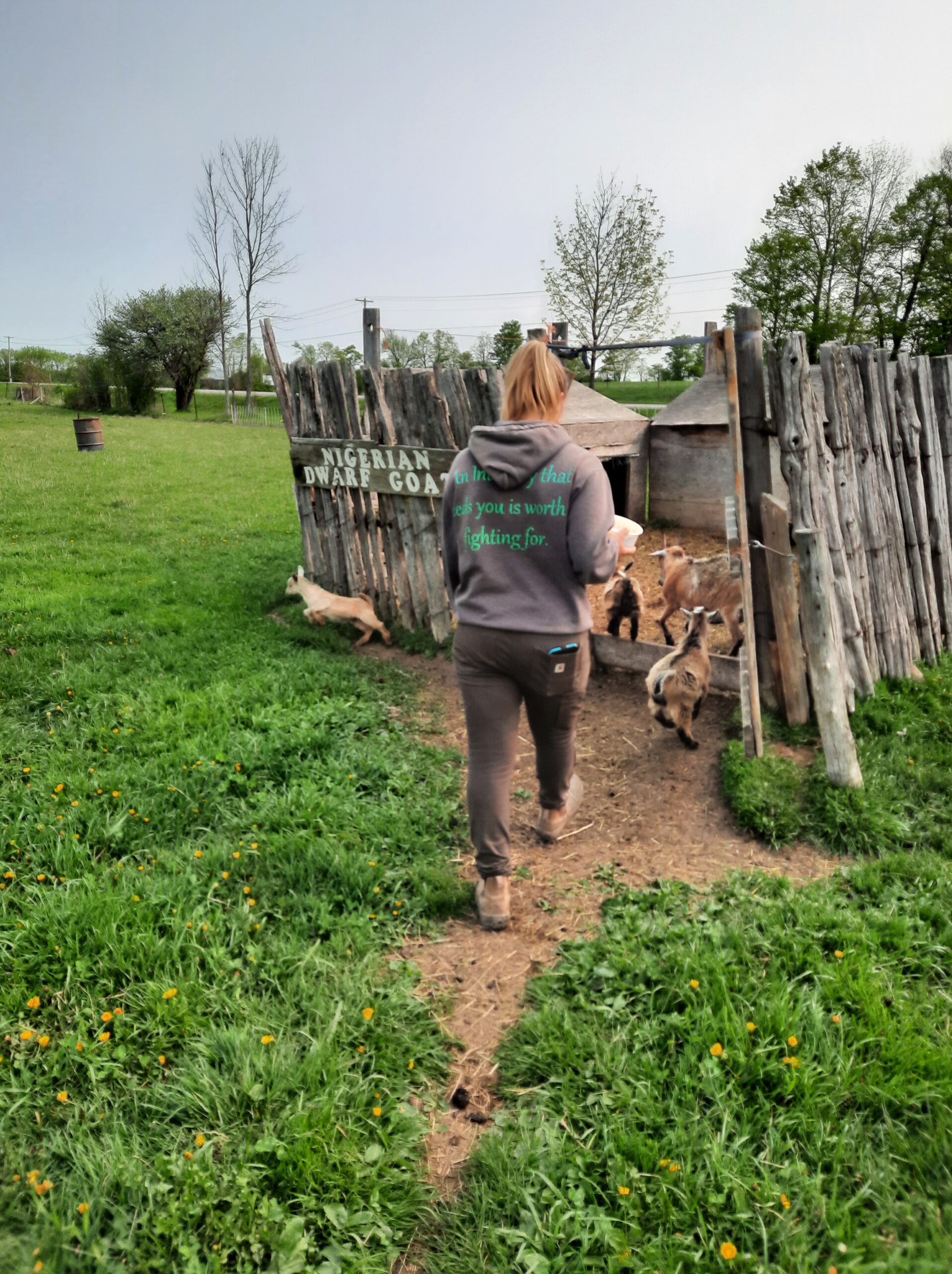 Farmer for a Morning - The Kawarthas Tourism