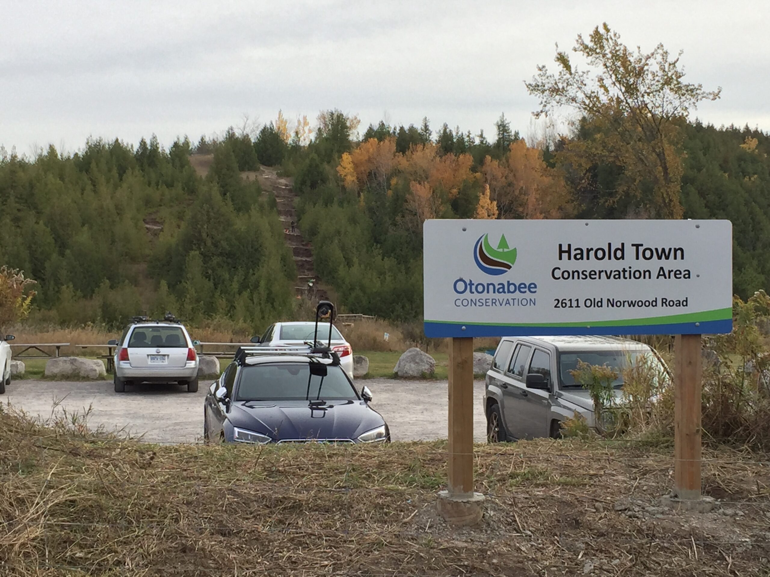 Harold Town Conservation Area - The Kawarthas Tourism