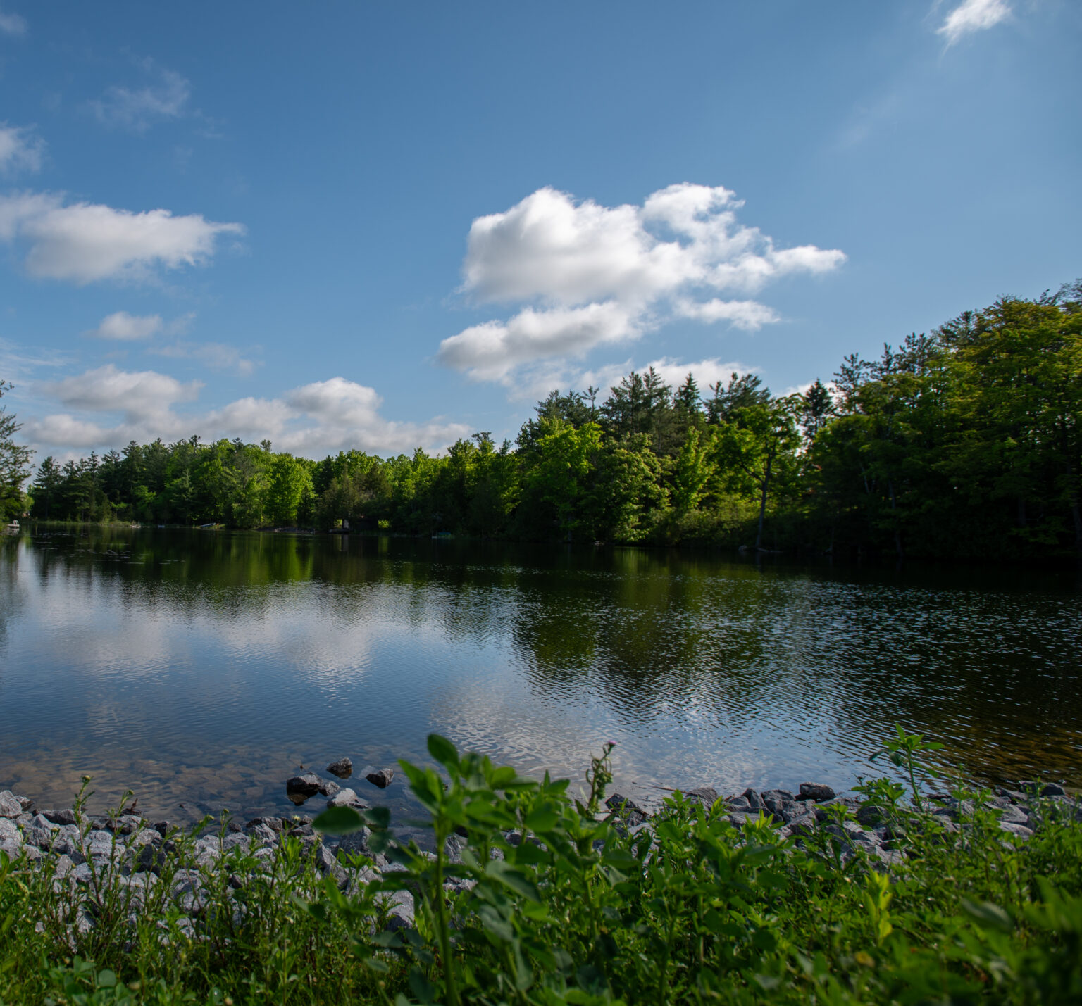 Caves, Canoeing, and Cottages in Douro-Dummer - The Kawarthas Tourism