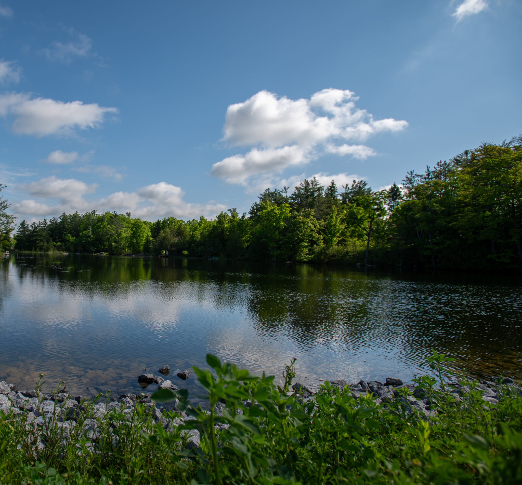 Caves, Canoeing, and Cottages in Douro-Dummer - The Kawarthas Tourism