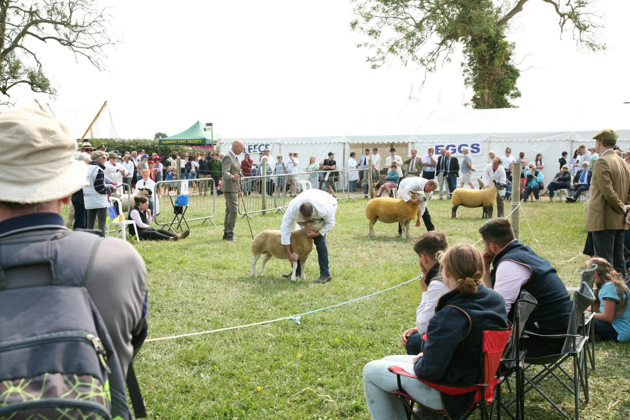 170th Annual Lakefield Fair - The Kawarthas Tourism